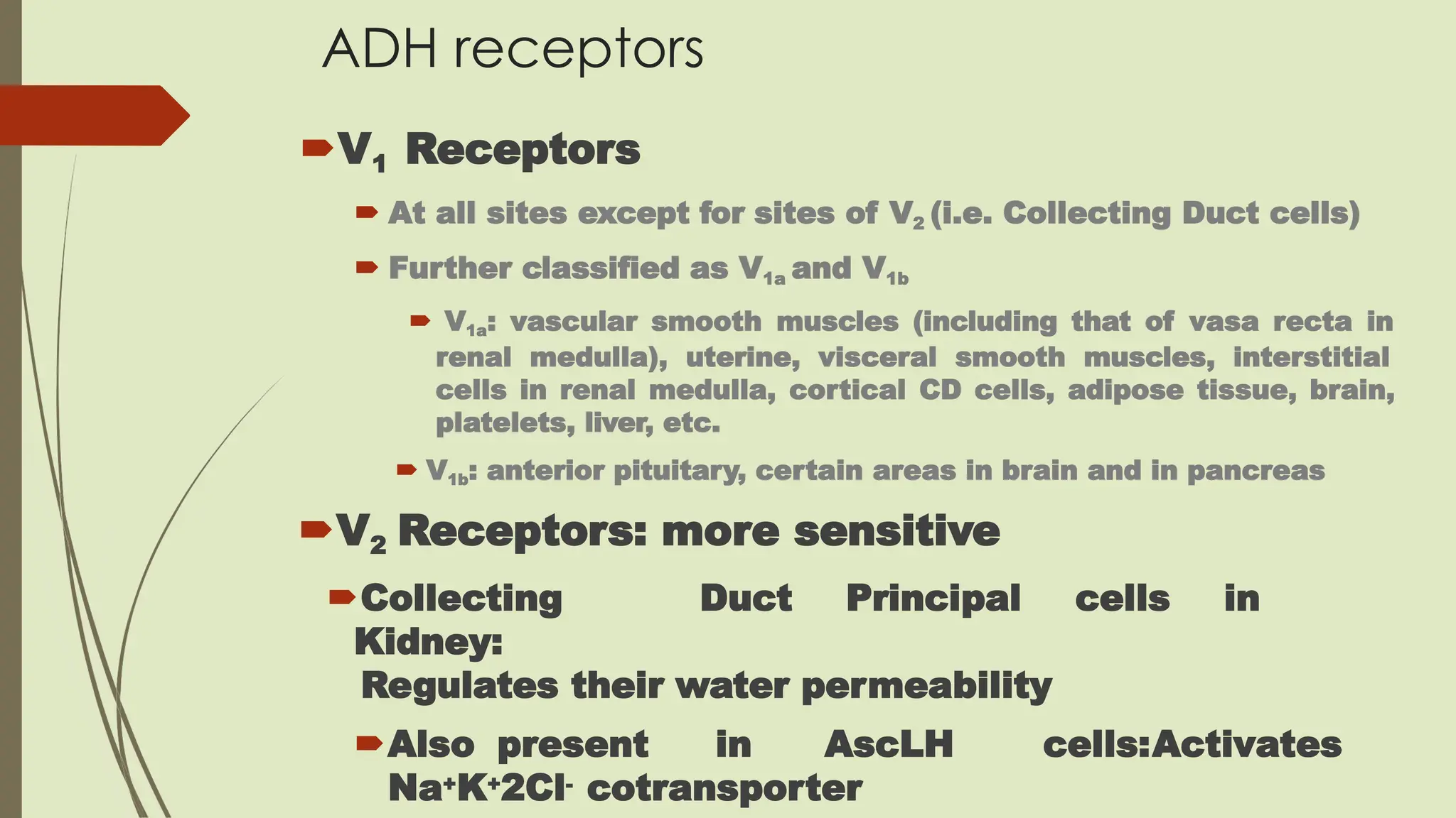 Antidiuretics classification, mechanism of action and therapeautic uses ...