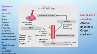 ANTI DIURETICS - Vasopressin analogues and SIADH.pptx