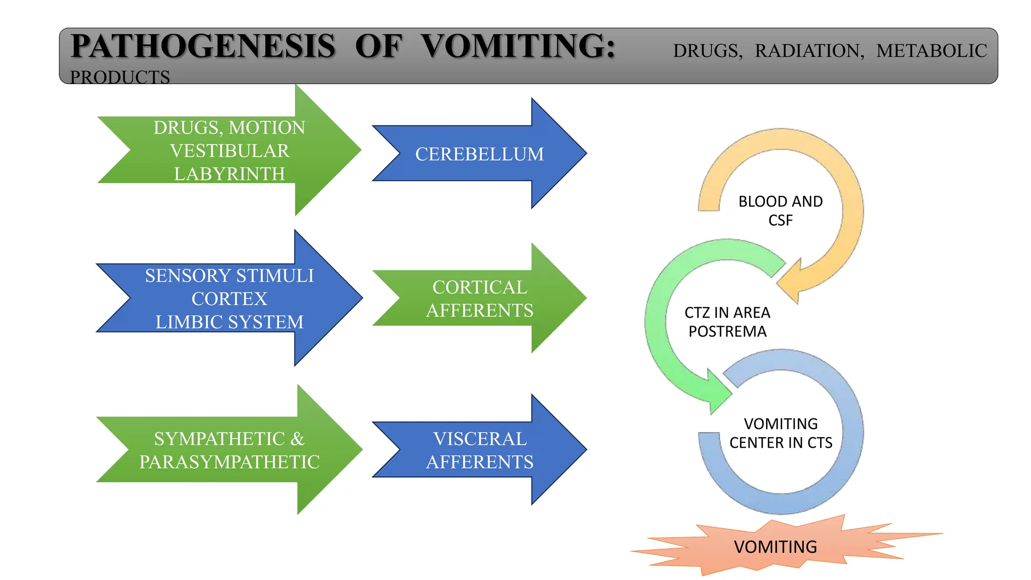 SCREENING OF METHOD EMETIC ANTIEMETICS | PPTX