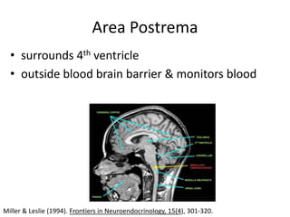 Antiemetics | PPTX