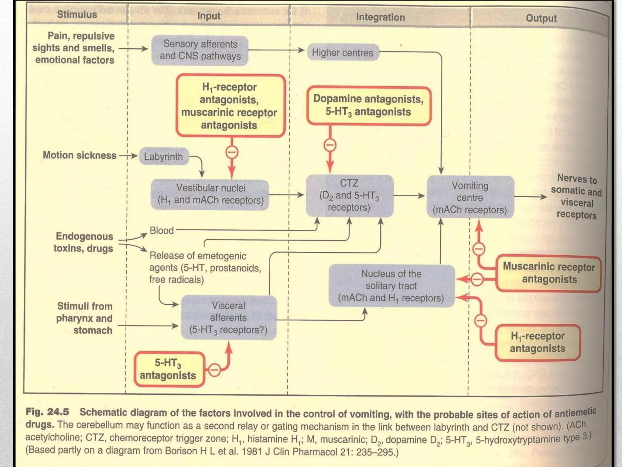 Antiemetics | PPTX