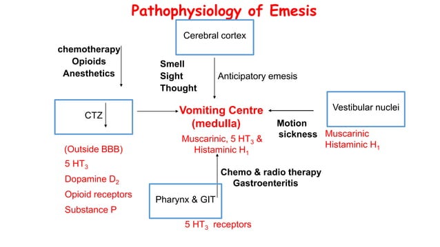 Antiemetics, emetics | PPTX | Digestive Disorders | Diseases and Conditions