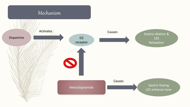 Antiemetics and prokinetics classification with mechansim | PPTX ...
