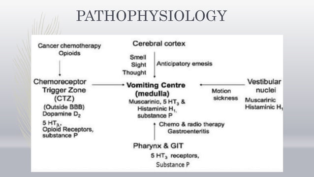 Antiemetics and prokinetics classification with mechansim | PPTX ...