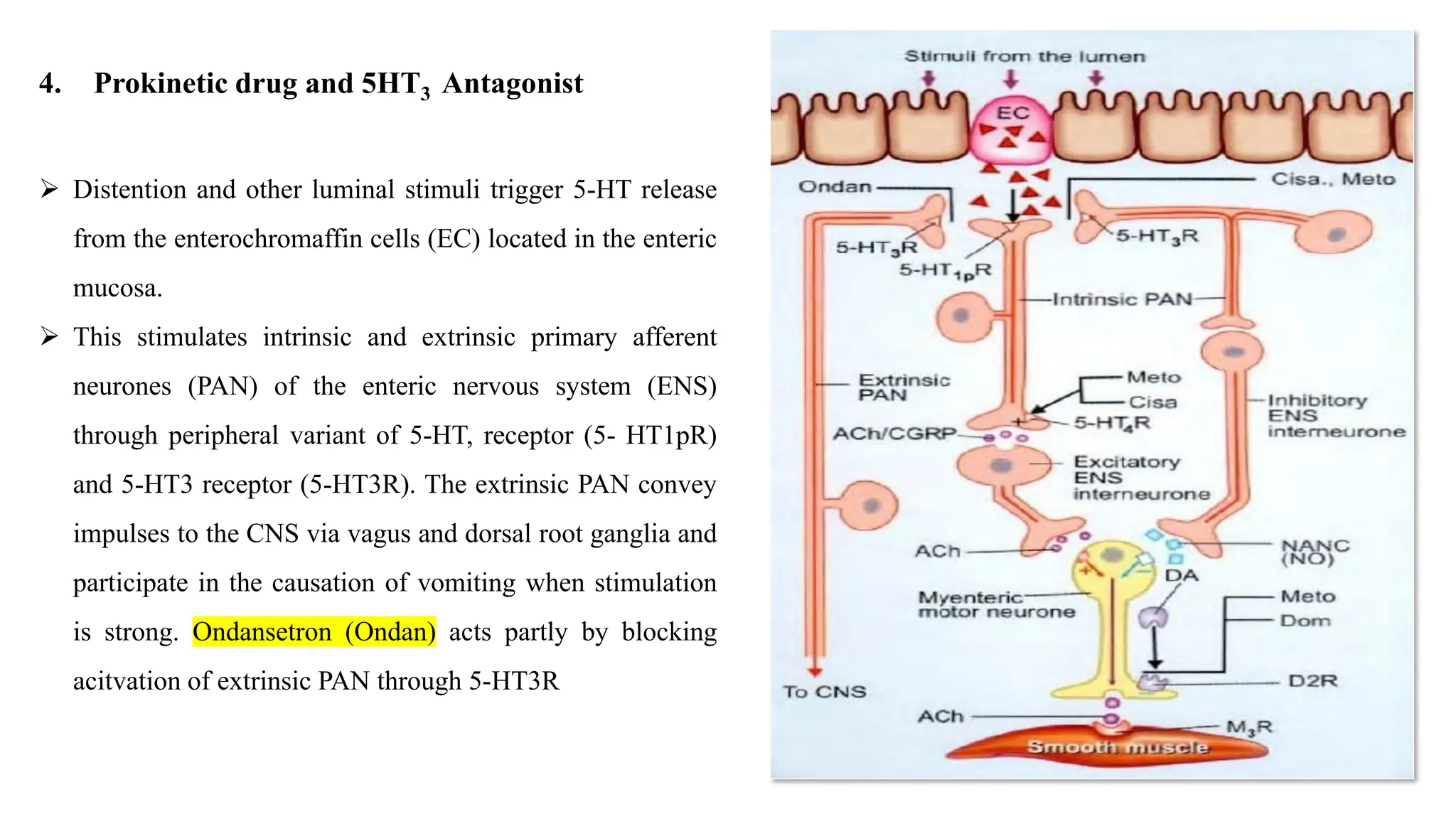 Antiemetics Pharmacology Presentation.ppt