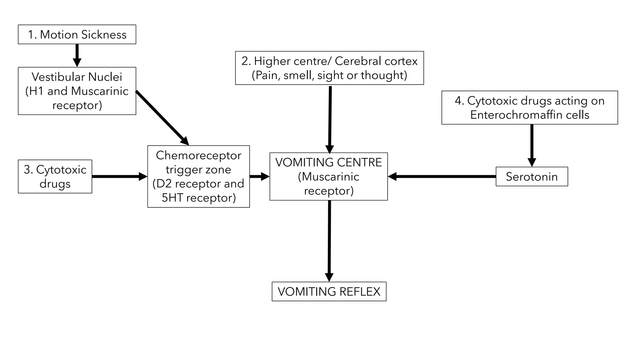 Antiemetics Pharmacology Presentation.ppt