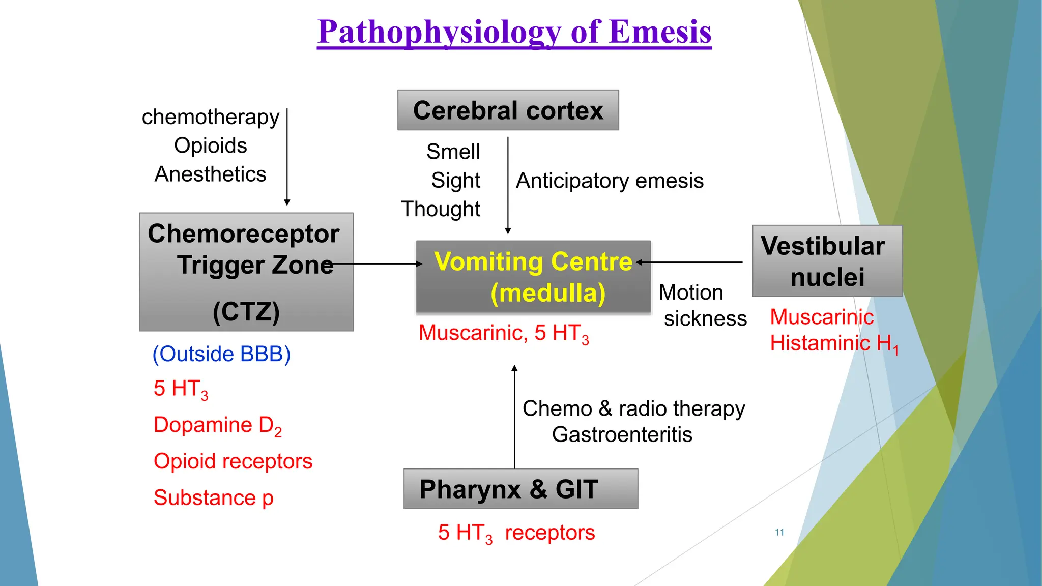 Antiemetics, Pharmacology by Baqir Naqvi.pptx
