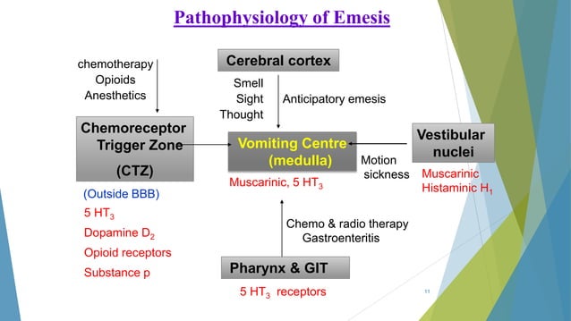 Antiemetics, Pharmacology by Baqir Naqvi.pptx