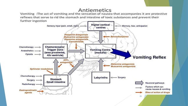 Antiemetics, Pharmacology by Baqir Naqvi.pptx