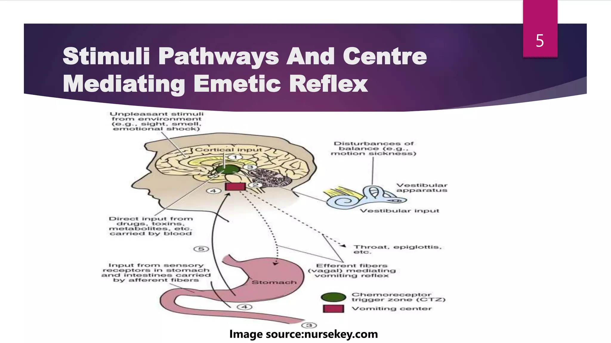 Anti emetics PowerPoint Presentation.pptx