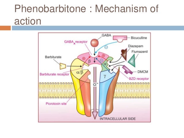 Antiepileptics