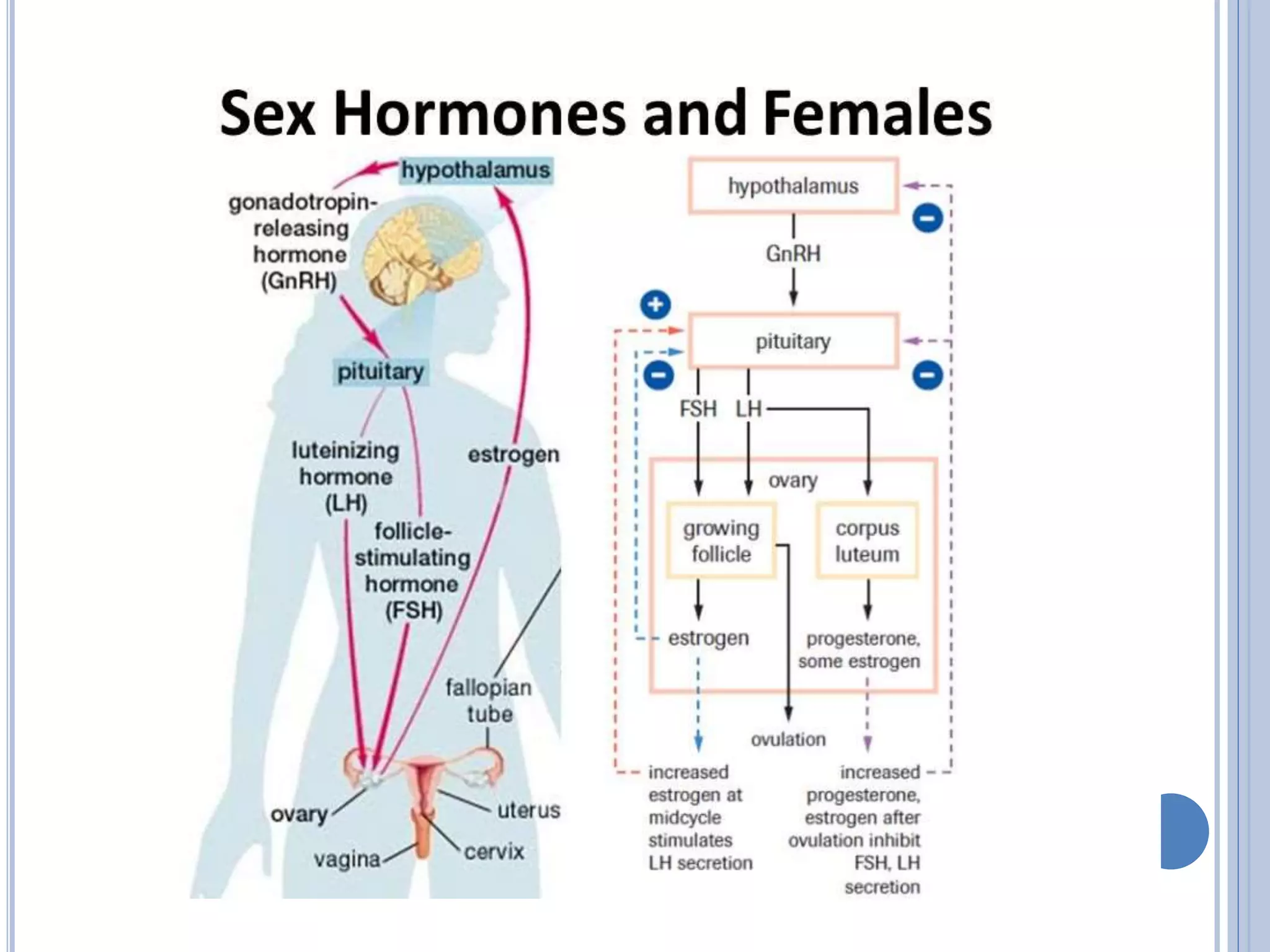 Anti fertility agents | PPTX