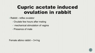 Antifertility screening | PPTX