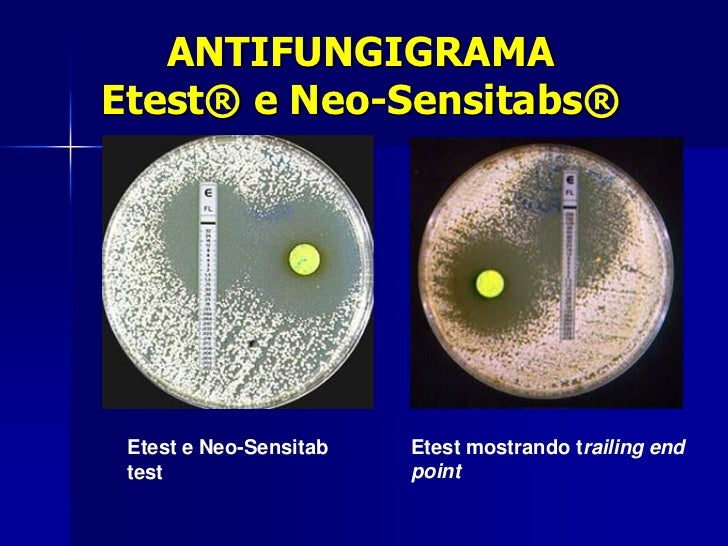 Antifúngicos