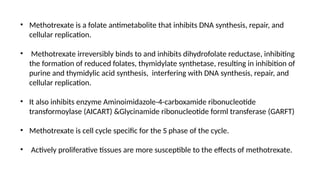 Anti folates in use for cancer chemotherapy | PPTX