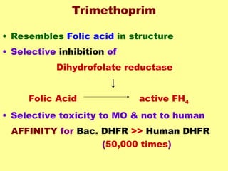 Folic acid and antifolate drugs or folate antagonists | PPT | Chemistry ...
