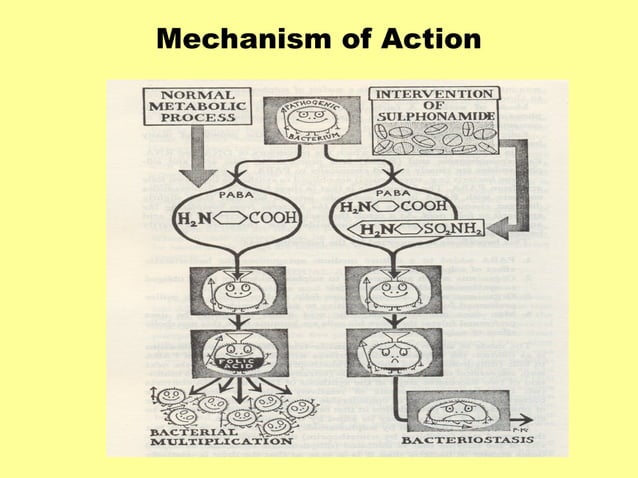 Folic acid and antifolate drugs or folate antagonists | PPT | Chemistry ...