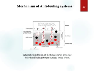 Anti fouling Coatings | PPTX