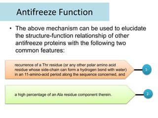 Antifreeze protein | PPTX
