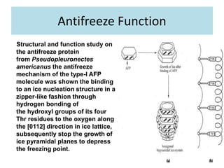 Antifreeze protein | PPT