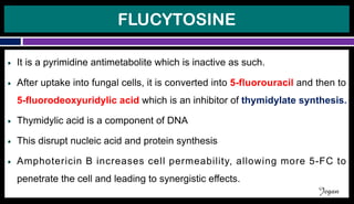 Antifungal Drugs | PDF
