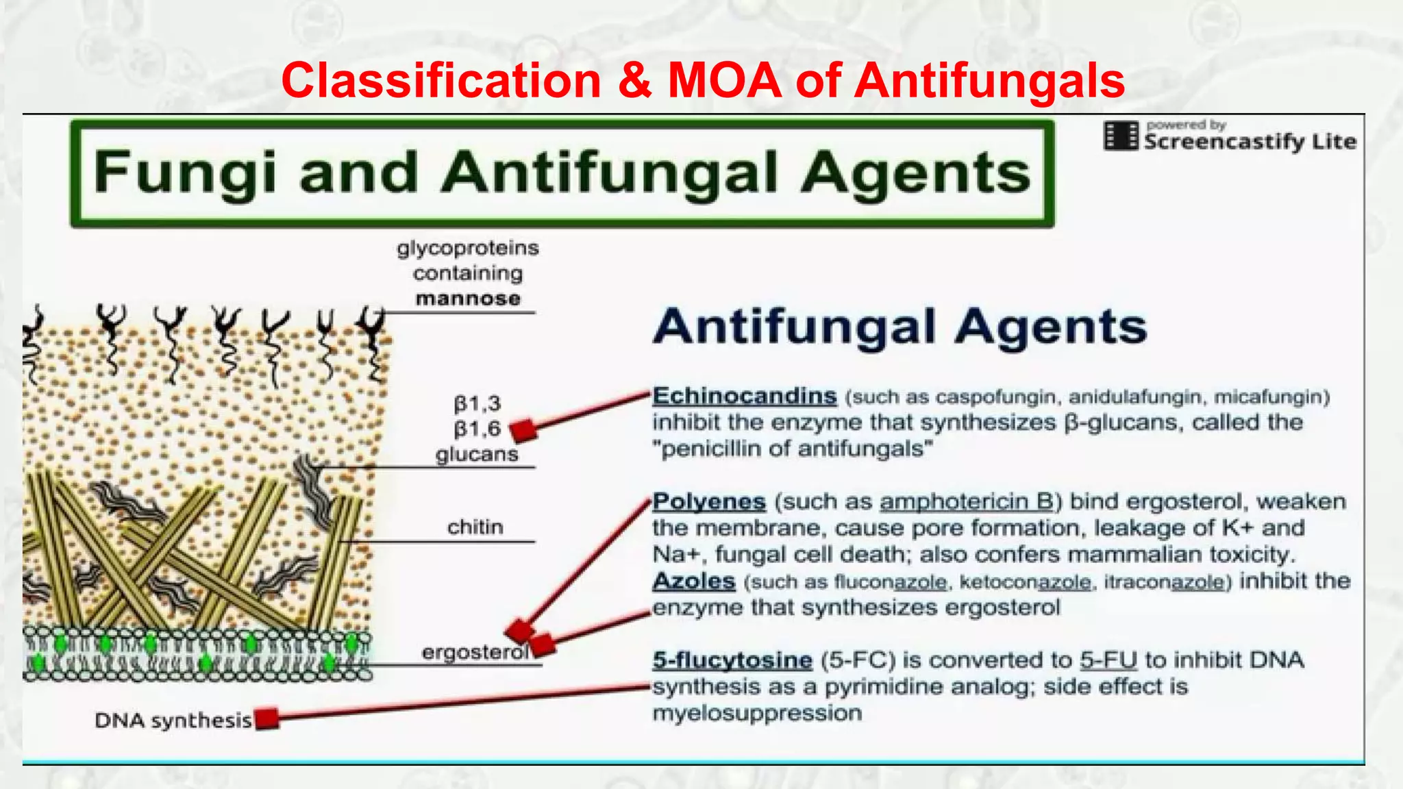 Fungal infection in ICU | PPTX | Blood Disorders | Diseases and Conditions