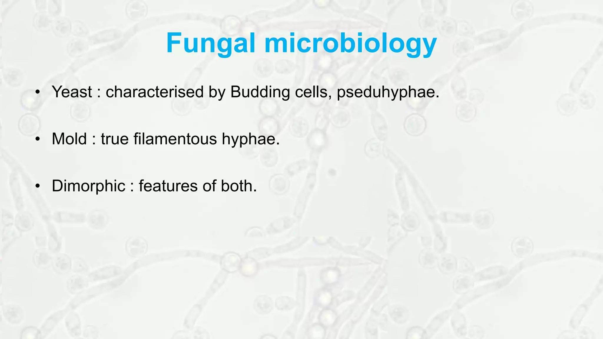 Fungal infection in ICU | PPTX