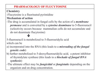 antifungal.ppt