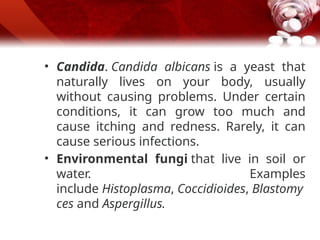 fungal infections and anti- fungal drugs | PPT