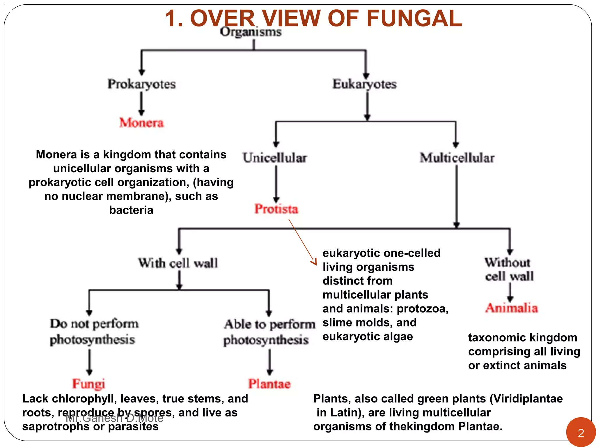 Medicinal chemistry of Antifungal agents | PPT