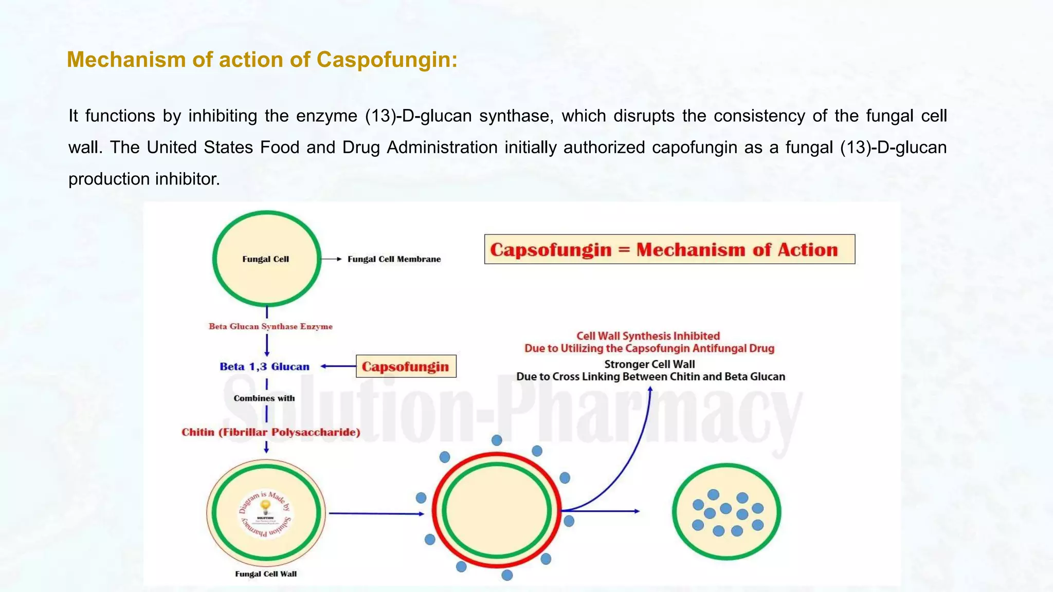 Antifungal Action Mechanism ofs of Azoles, Caspofungin and Terbinafine.pptx