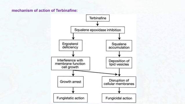 Antifungal Action Mechanism ofs of Azoles, Caspofungin and Terbinafine.pptx