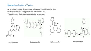 Antifungal Action Mechanism ofs of Azoles, Caspofungin and Terbinafine.pptx