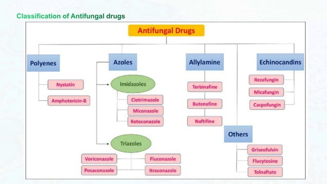 Antifungal Action Mechanism ofs of Azoles, Caspofungin and Terbinafine.pptx