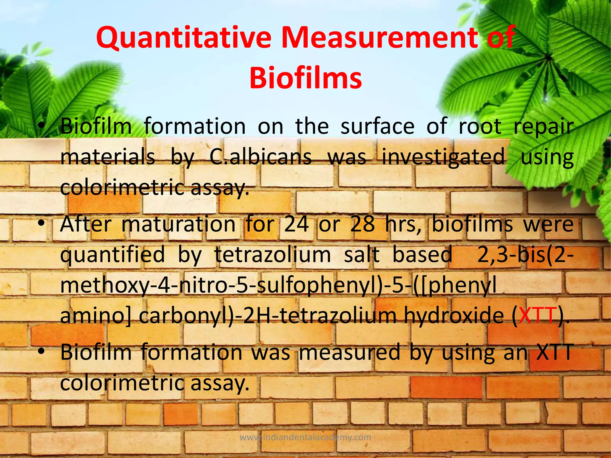 Antifungal activity of endosequence root repair material / dental crown ...