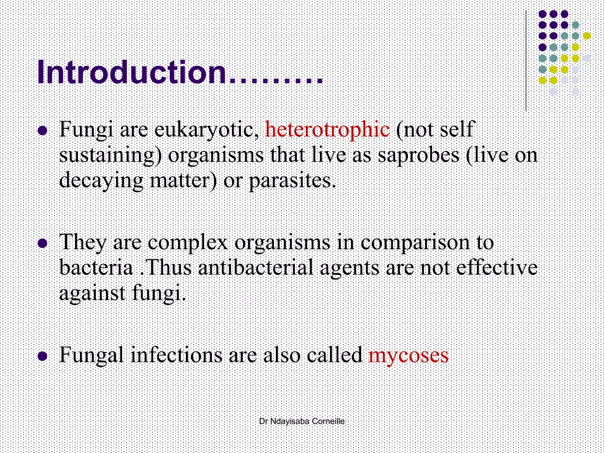 Antifungal Agent.ppt