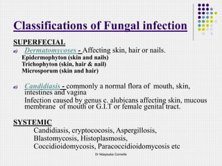 Antifungal Agent.ppt