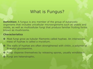 Anti fungal agents | PPTX