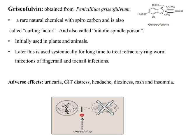 Anti fungal agents | PPT
