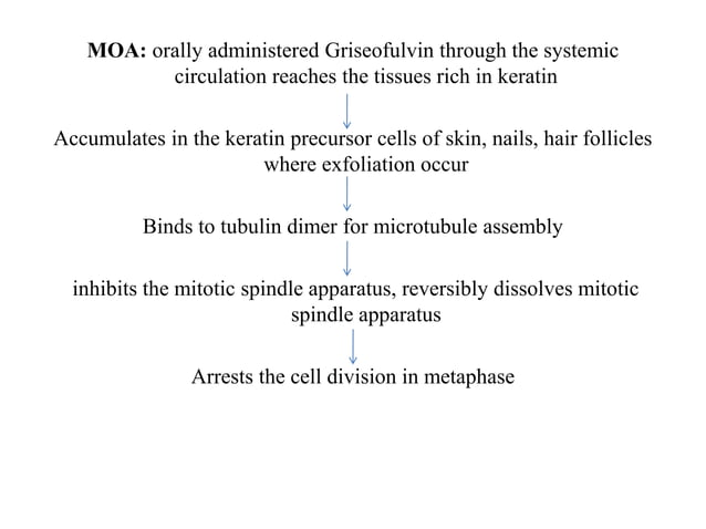 Anti fungal agents | PPT