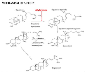 Anti fungal agents | PPT