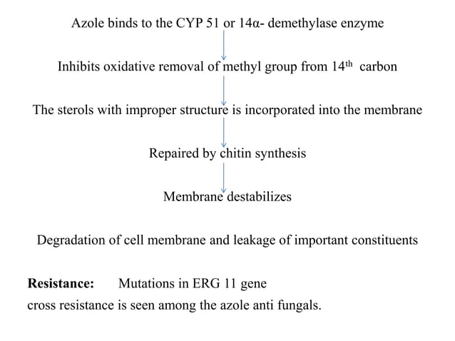 Anti fungal agents | PPT