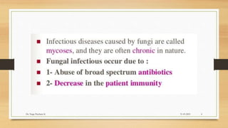 Anti fungal agents | PPTX