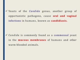 Fungal and anti fungal agents detailed information .pptx