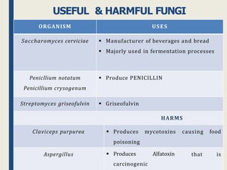 Fungal and anti fungal agents detailed information .pptx