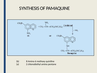 Antifungalagents medicinal chemistry bpharmacy 6th sem | PPTX