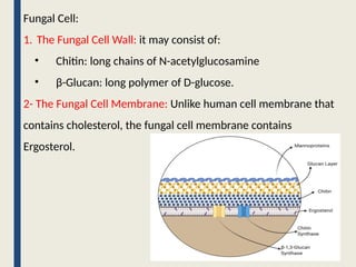 Antifungal agents by Mrs. Manjushri Dabhade | PPT