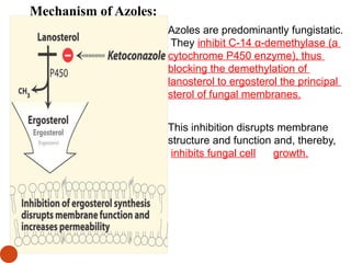 Anti fungal agents Medicinal Chemistry III | PPTX