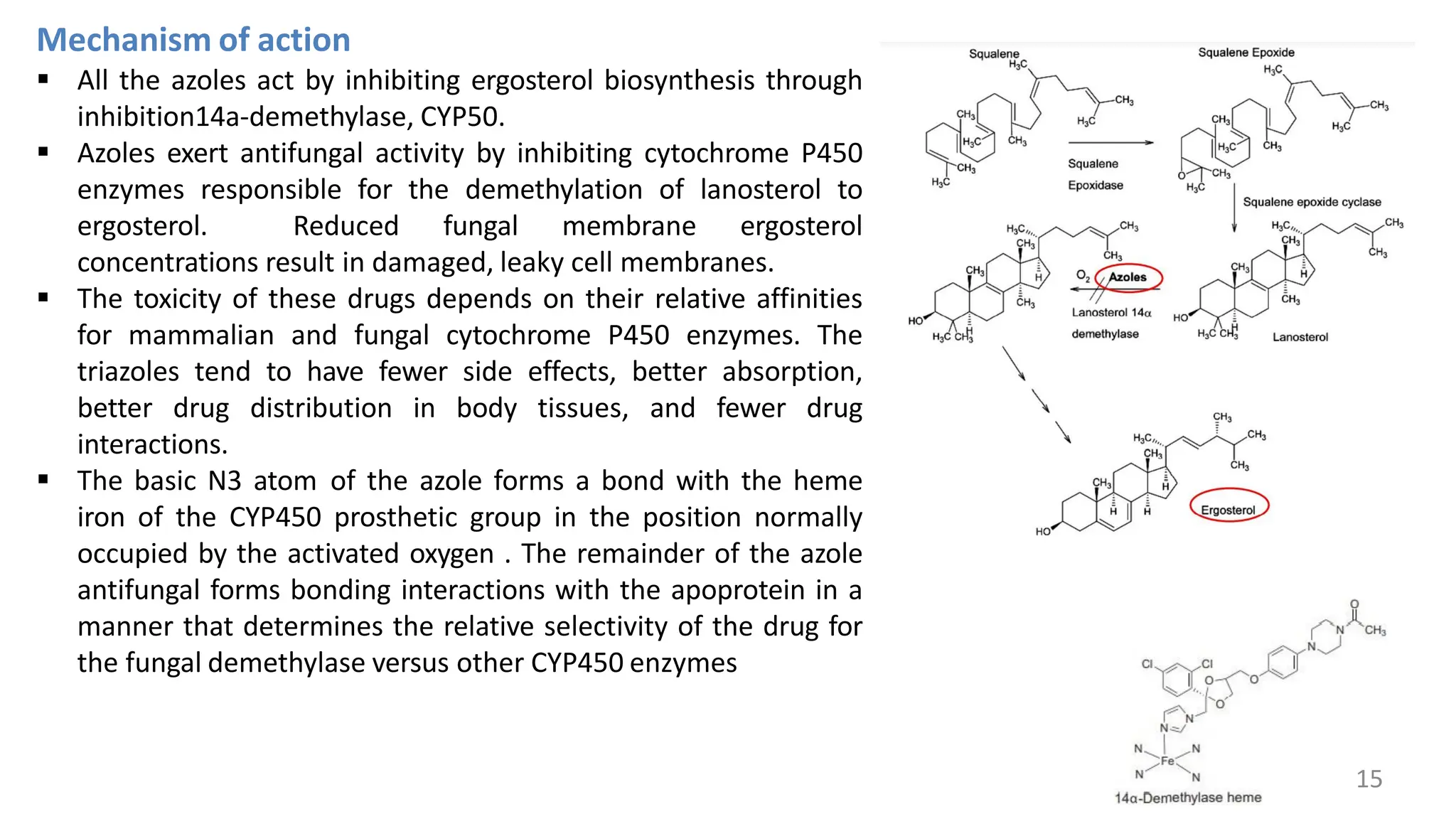 Antifungal agents-Medicinal Chemistry | PDF