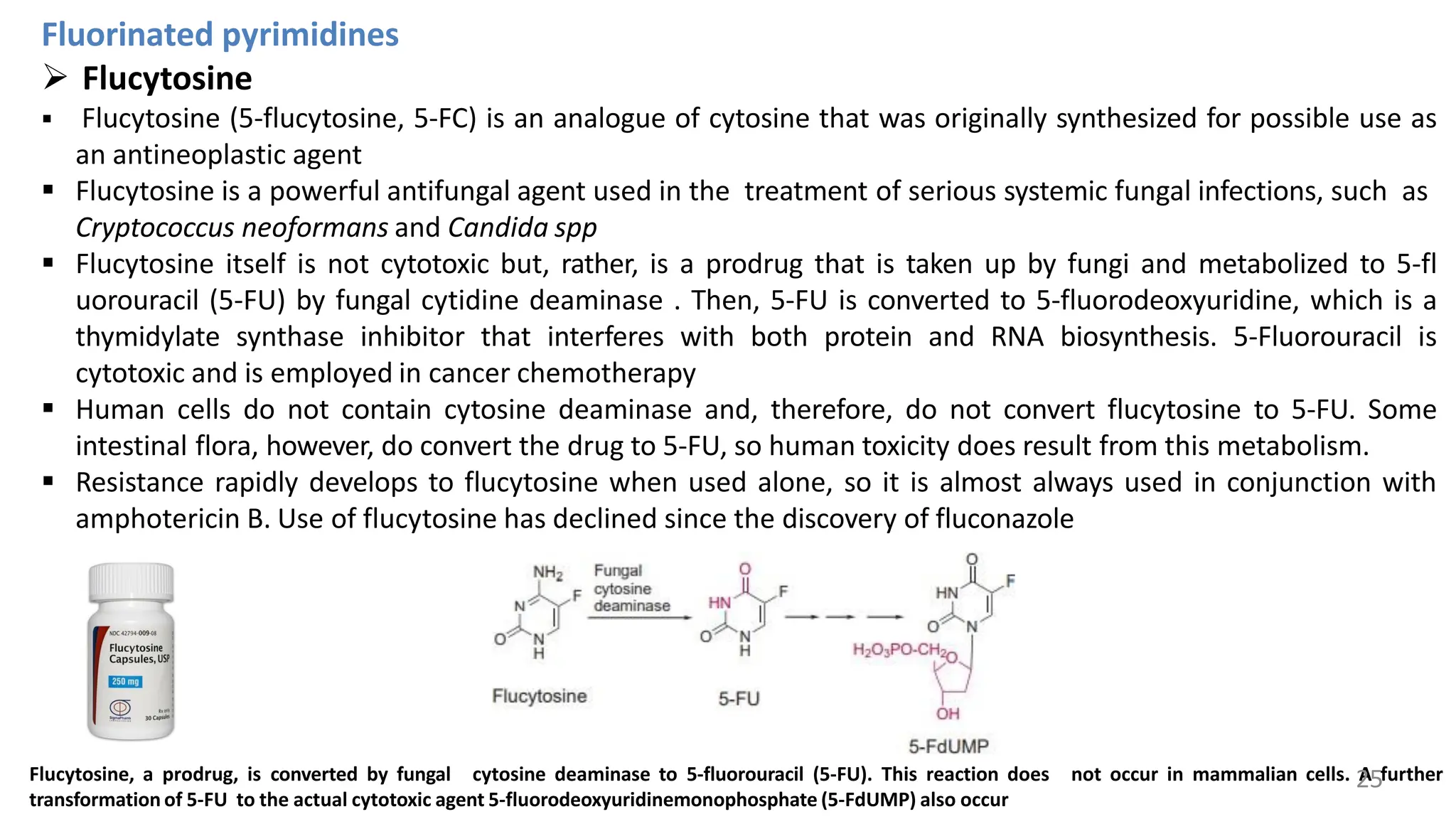 Antifungal agents-Medicinal Chemistry | PDF